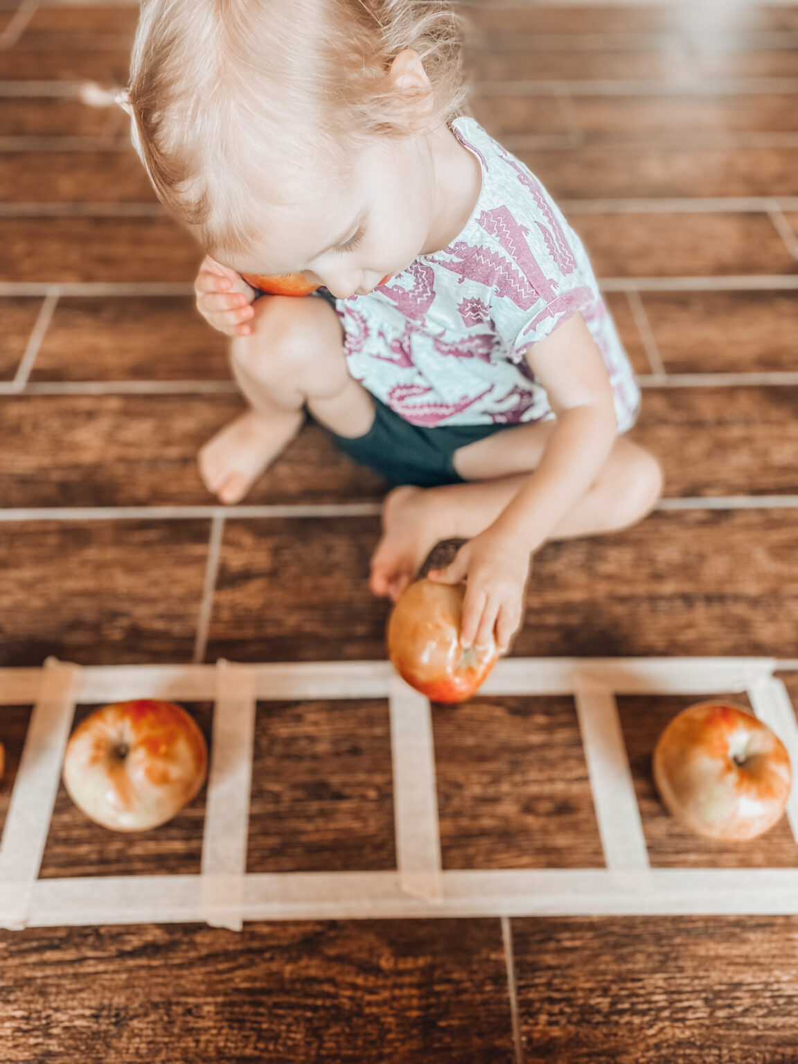 Toddler Counting Activity with Five Frames - Emily's Little Loves